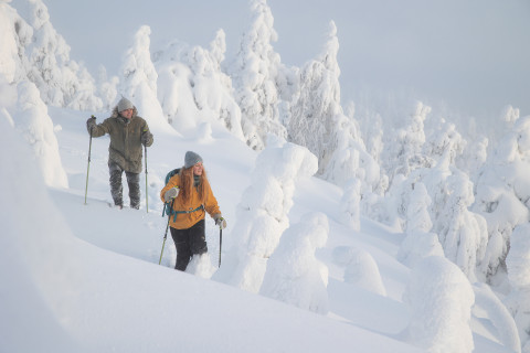 lumikenkaily_2021_harritarvainen_ruka_kuusamo_w1920.jpg?itok=DVhWB5W8