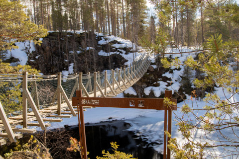 pieni_karhunkierros_myllykoski_sallakarhumaa_2023_w_2000.jpg?itok=T-dm04H1