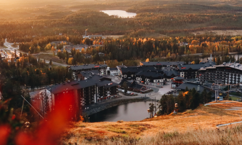 Untitled (Photo Collage) (25 x 15 cm).png?itok=anr5Rs--