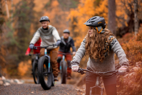 rukakuusamo_autumn_rukatunturi_HarriTarvainen_HIlow.jpg?itok=MGdVZfBa